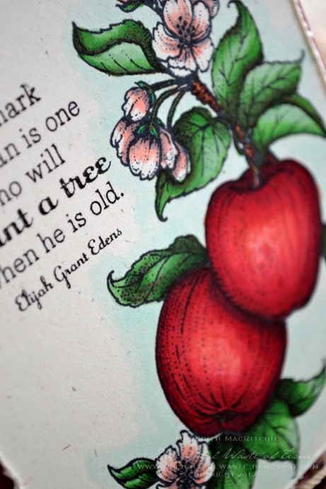 Hand-coloured Apple Greeting Card on Luulla
